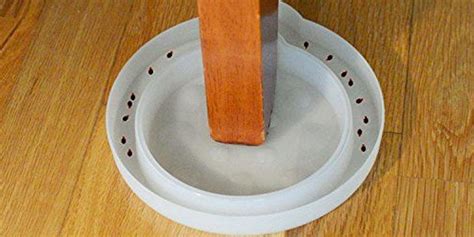 Best Bug Traps Reviews Of BestAdvisor Com