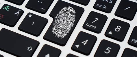 Sneaky Fingerprint And Ip Tracker With React Dev Community