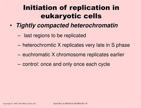 Ppt Dna Replication Powerpoint Presentation Free Download Id 3953333