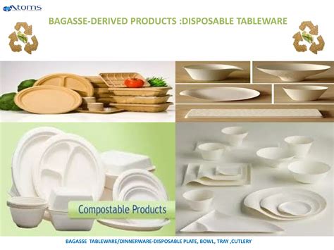 Agro Waste Derived Products Alternative To Plastic And Styrofoam Ppt