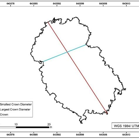 Example Of A Sample Of The Average Tree Crown Diameter Cd Obtained By