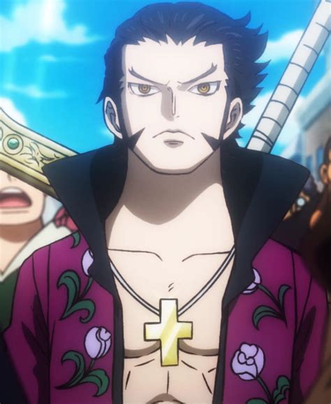 Image Dracule Mihawk At Age 19png One Piece Wiki Fandom Powered