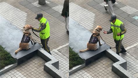 El Mejor Compañero De Trabajo Guardia De La Universidad De Los Andes Se Hace Viral Por Jugar