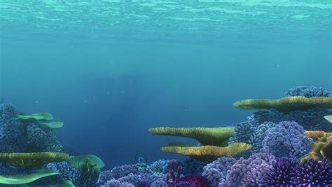 Finding Nemo Wallpaper Background Part 46 By Davidgracian On Deviantart