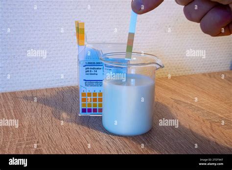 Person Determines The Acidity Of A Liquid Using A Ph Strip Used In Healthcare Research And