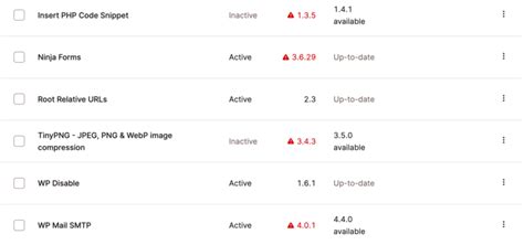 Tame Wp Plugins And Themes With Kinsta Automatic Updates