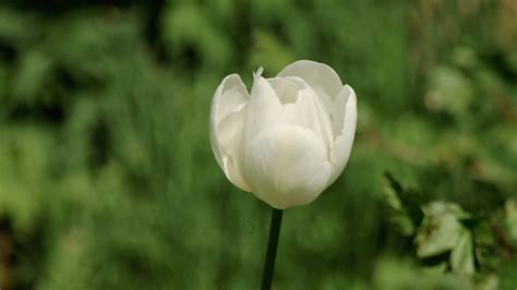 Boxtruckmassagevideos Videos Download The Best Free 4k Stock Video