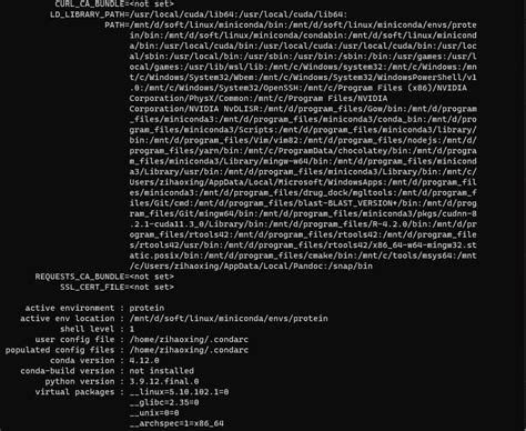 Cant Install Packages In New Conda Environment Except Base Environment