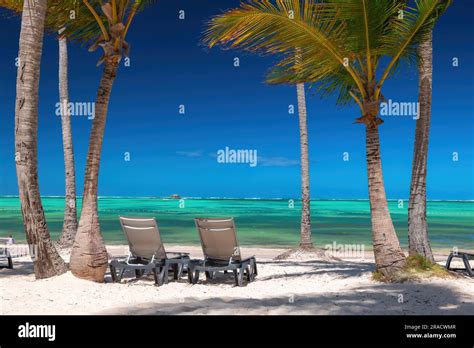 Exotic Island Beach With Palm Trees And Sun Lounges On The Caribbean