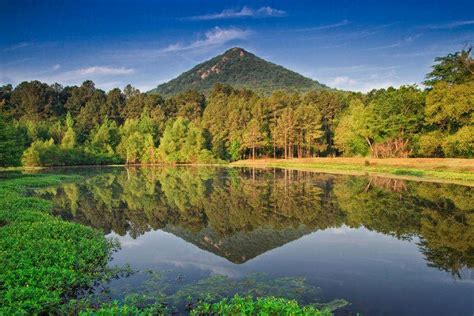 Building React Apps Using React Boilerplate By Pinnacle Investment Medium