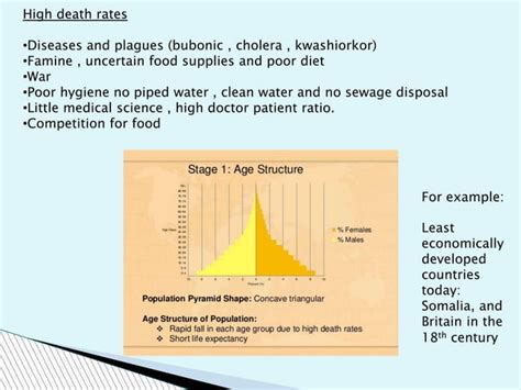 Age Sex Pyramids Presentation PPTX