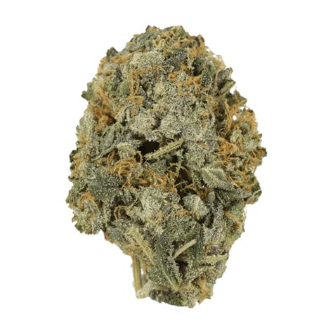 Buy Cotton Candy Aa Hybrid Grasslife