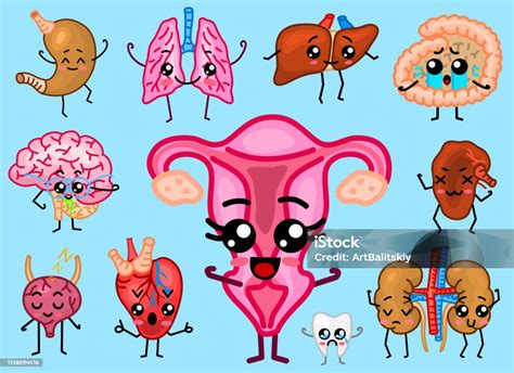 귀여운 오르간 행복 한 사람 웃는 문자의 집합입니다 벡터 핀 만화 귀 엽 다 아이콘입니다 건강 한 심장 위 간 방광 자 궁 기관 폐 신장 담 낭 소장 췌 장 및 뇌 0명에