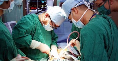 폐·심장·간이식 6개월 후부터 장애연금 지급