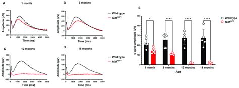 Rpe Response Decreases During Aging In Mitf Mi Mice A D