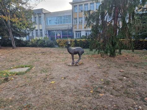 Слънчев със сутрешни мъгли четвъртък в Силистренско Кворум Силистра