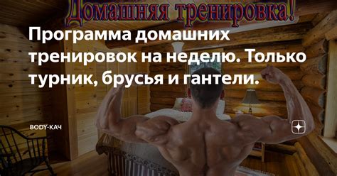 Программа домашних тренировок на неделю Только турник брусья и гантели Body кач Дзен