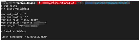 Packer Hcl Environment Variables Red Branch