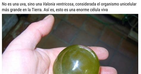 ¡cuánta Razón Personas Que Encontraron Cosas Que Son Uno En Un Millón