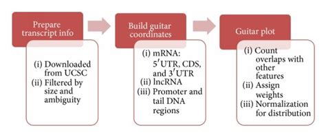 Workflow Of Guitar Package The Gene Annotation Can Be Automatically Download Scientific