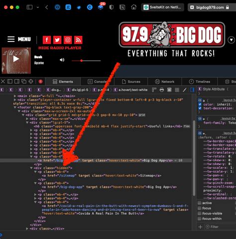 Sveltekit 500 Internal Errors Works Locally Support Netlify