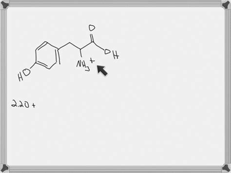 Tyrosine Structure At Ph 7