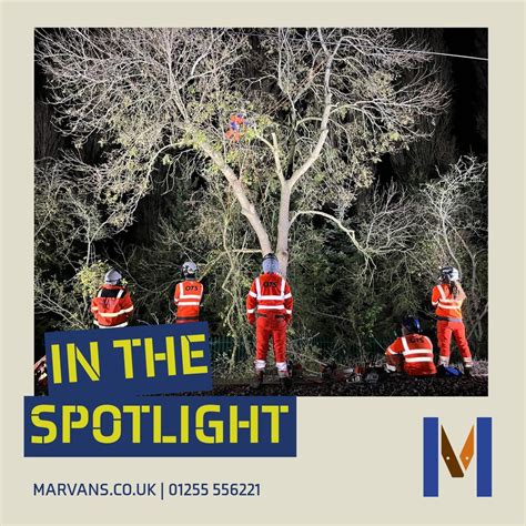 Marvans Tree And Grounds Maintenance Services On Linkedin