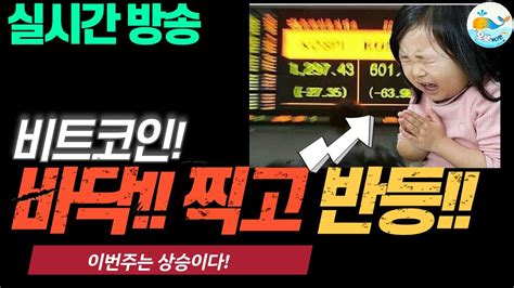 2부 비트코인 4만불 복구 조정 끝 상승시작 또 희망회로 오뽀가디언 비트코인tv 리플 비트비트코인 오브스 Youtube