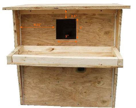 11 Free Diy Barn Owl Box Plans You Can Make Today With Pictures House Grail