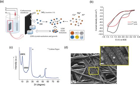 A Scheme Of The Processes Occurring At The Working Electrode B Download Scientific Diagram