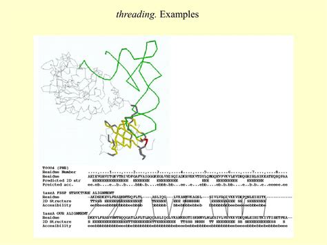 Ppt Iv Protein Structure Prediction And Determination Methods Of Protein Structure