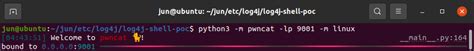 Poc Cve Log Shell Poc