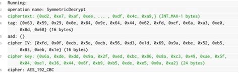Clfuzz Vulnerability Detection Of Cryptographic Algorithm