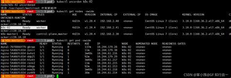 使用 kubectl 管理 kubernetes 容器平台 kubectl cordon csdn博客