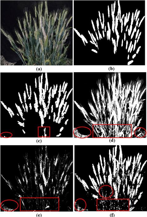 comparison of different segmentation methods a original image b