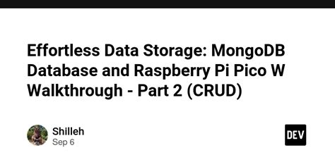 Effortless Data Storage Mongodb Database And Raspberry Pi Pico W