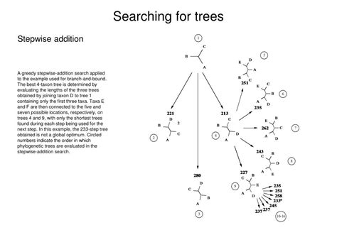 Ppt Tree Searching Methods Powerpoint Presentation Free Download