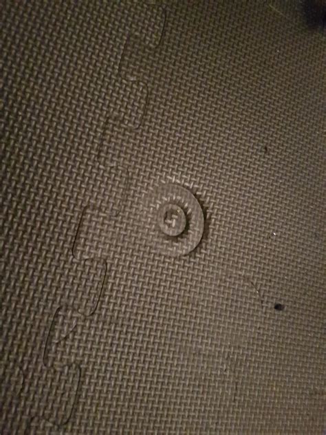 Att Bygga Ett Hemmagym Del 1 Golv Maxstyrka