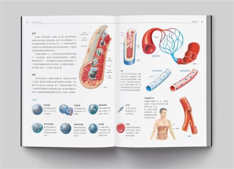 【新书福利】人体解剖学结构与功能图谱 知乎