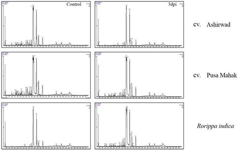 LCMS Chromatogram Of Proteins Of Experimental Plants Control And Download Scientific Diagram