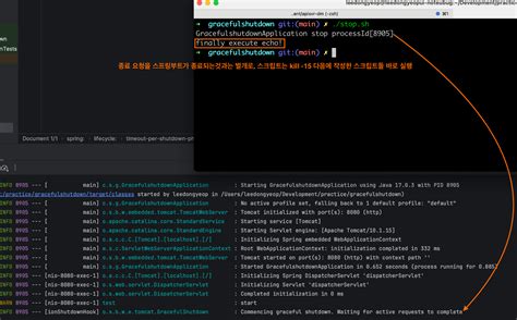 Spring Boot Graceful Shutdownfeat 우아한 종료