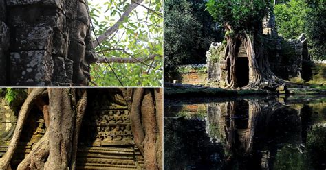 Xnyxx4wbhphw1xivqwhc 