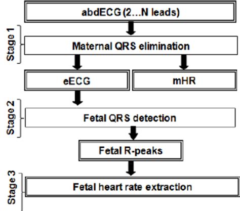 Flowchart Of The Three Stage Proposed Methodology Download Scientific Diagram
