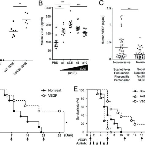 Gas Infection Suppressed Mtorc1 Activity And Induced Tfeb Nuclear Download Scientific Diagram