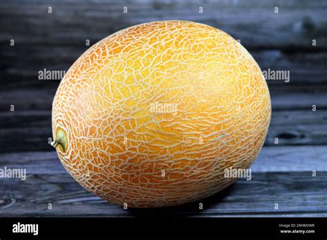 Muskmelon Cucumis Melo Or Melon A Species Of Cucumis That Has Been