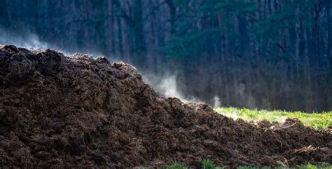 Biodiversity Pollution Engagement Takeaways Regenerative Agriculture