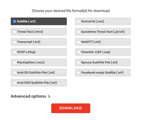 The Ultimate REV Transcription Review The Japan Guy