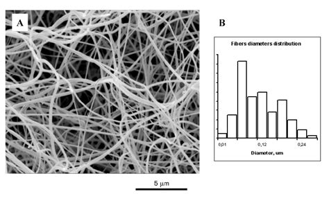 A — Scanning Electron Micrography Sem Of Fibrin Polymer [17] Download Scientific Diagram
