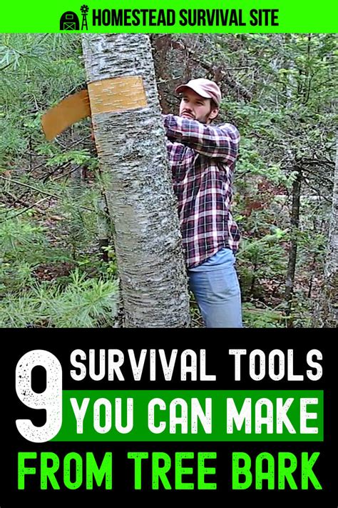 Survival Tools You Can Make From Tree Bark Survival Tools You Can Make From Tree Bark