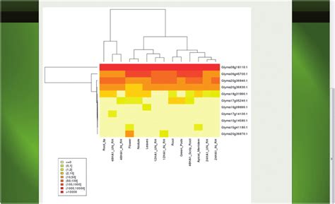 Shows The Heatmap For Multiple Genes Generated For The RNA Seq Dataset Download Scientific